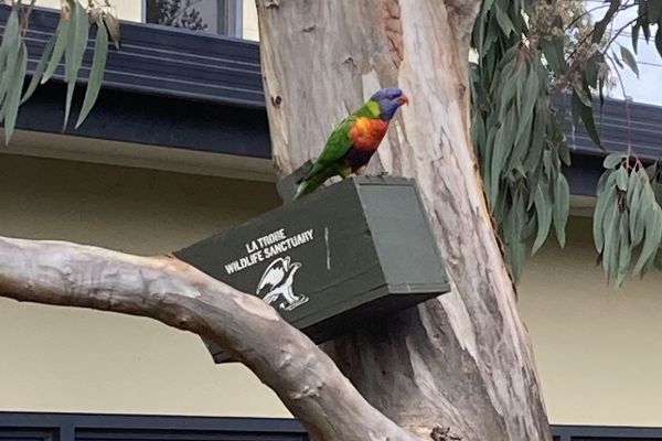 Braybrook Secondary College